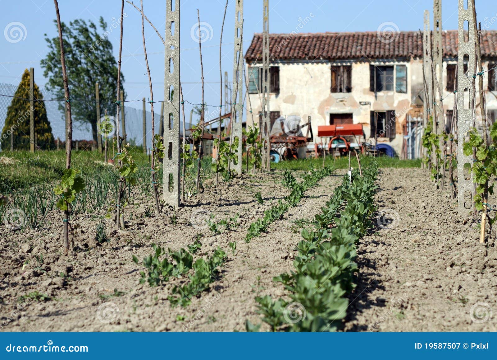 Italian farmhouse stock image. Image of rural, vacation - 19587507
