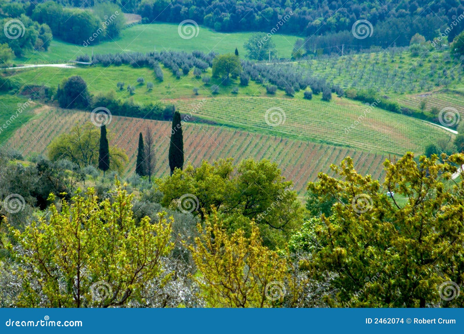 Italian fields stock photo. Image of pasturage, european - 2462074