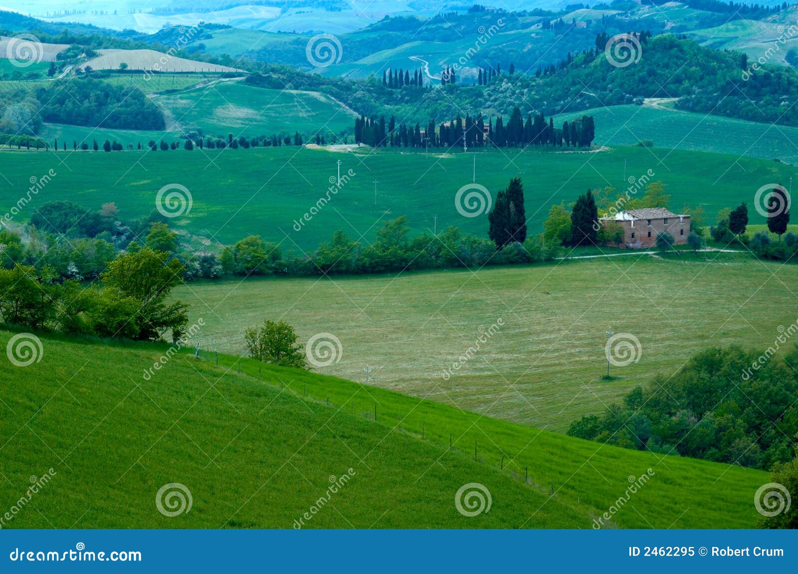 Italian fields stock image. Image of peace, pleasant, hill - 2462295