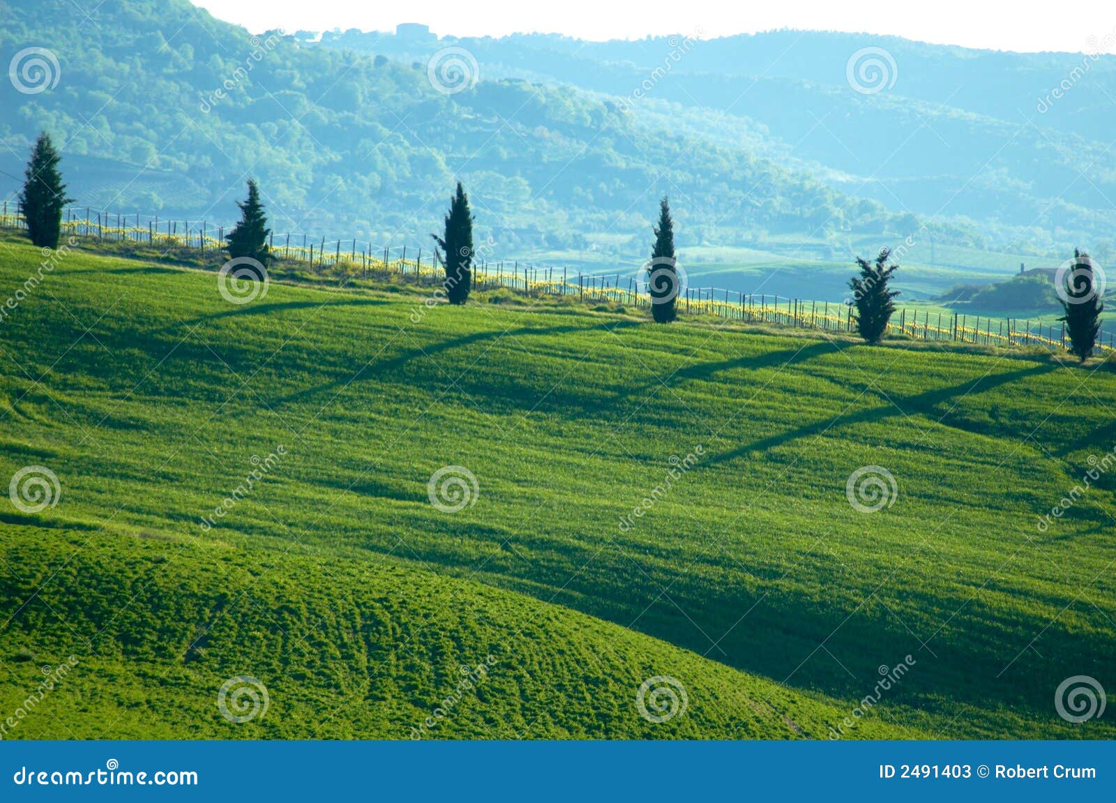 Italian Fields Picture. Image: 2491403