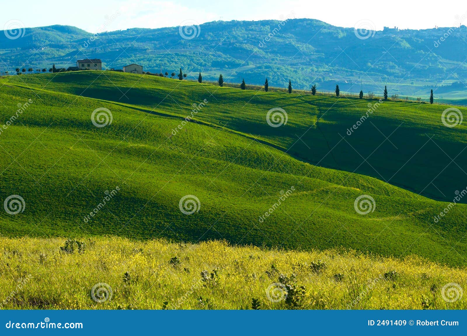Italian fields stock image. Image of hill, europe, peace - 2491409