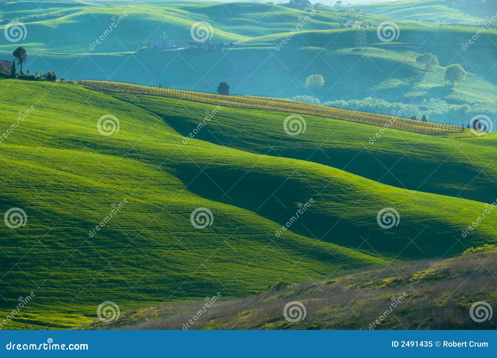 Italian fields stock image. Image of farm, landscape, pasture - 2491435