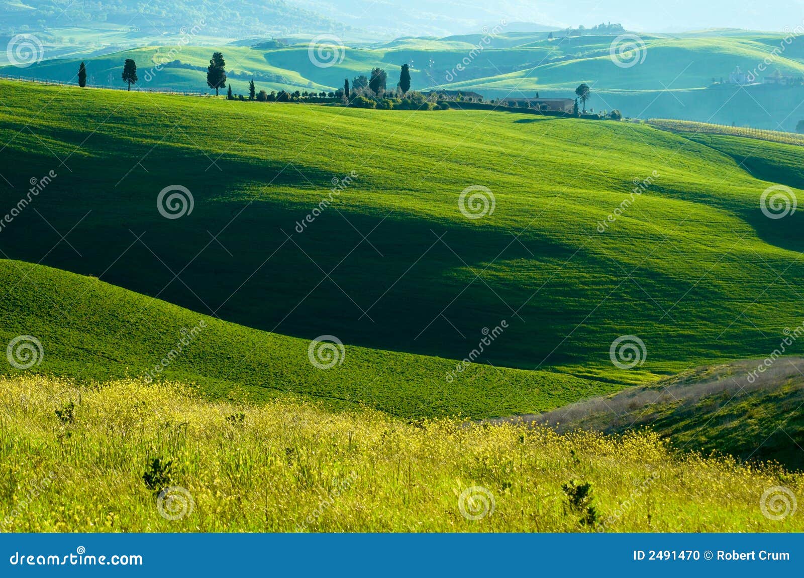 Italian fields stock photo. Image of pleasant, hilly, green - 2491470