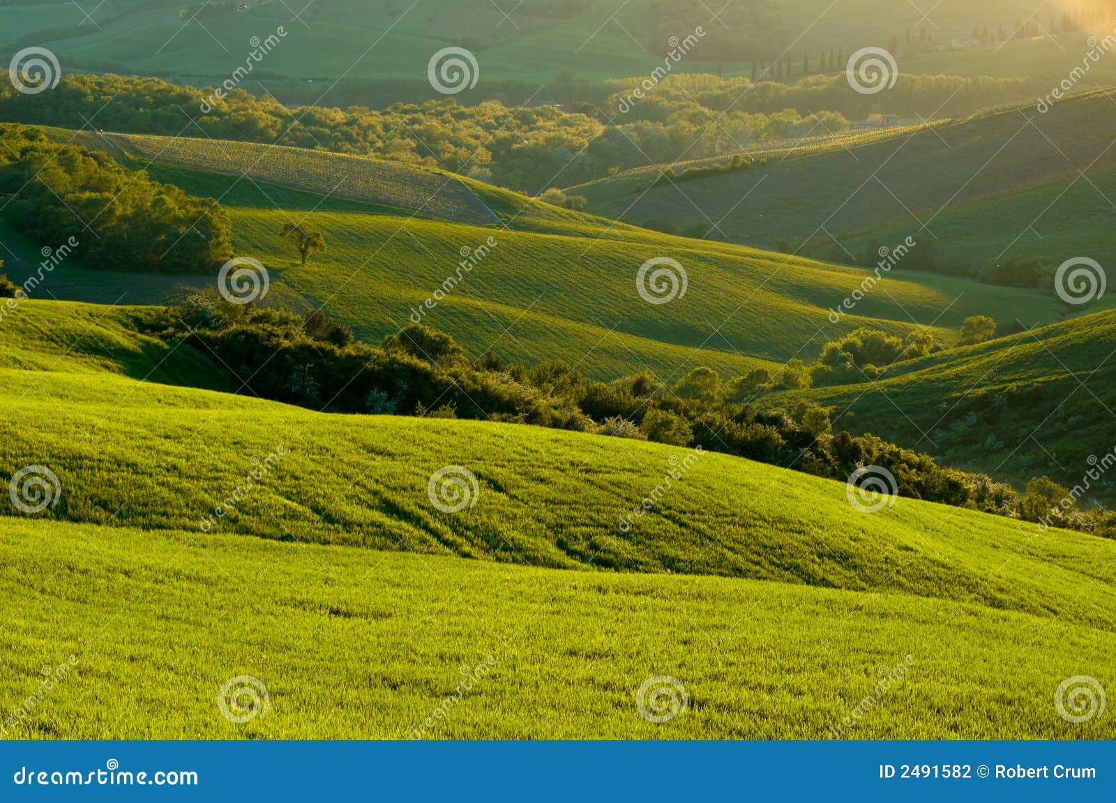 Italian fields stock photo. Image of hill, europe, calm - 2491582