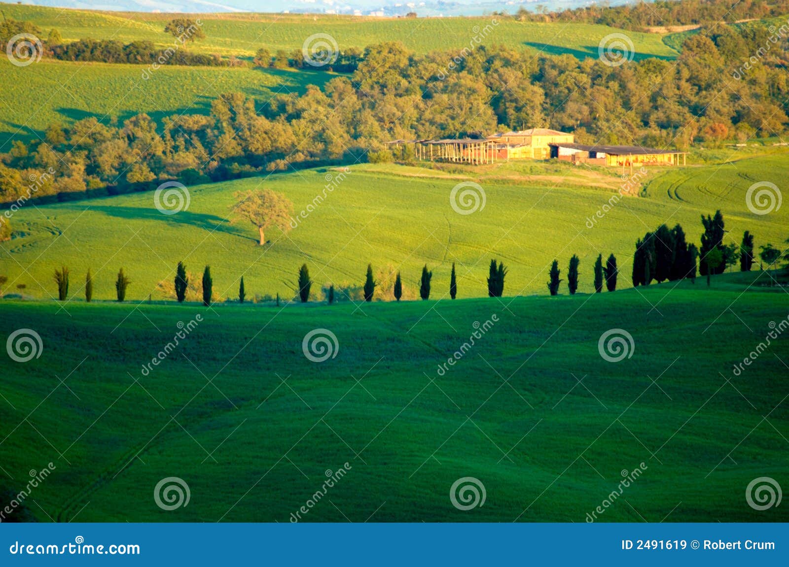 Italian fields stock image. Image of plot, hill, green - 2491619