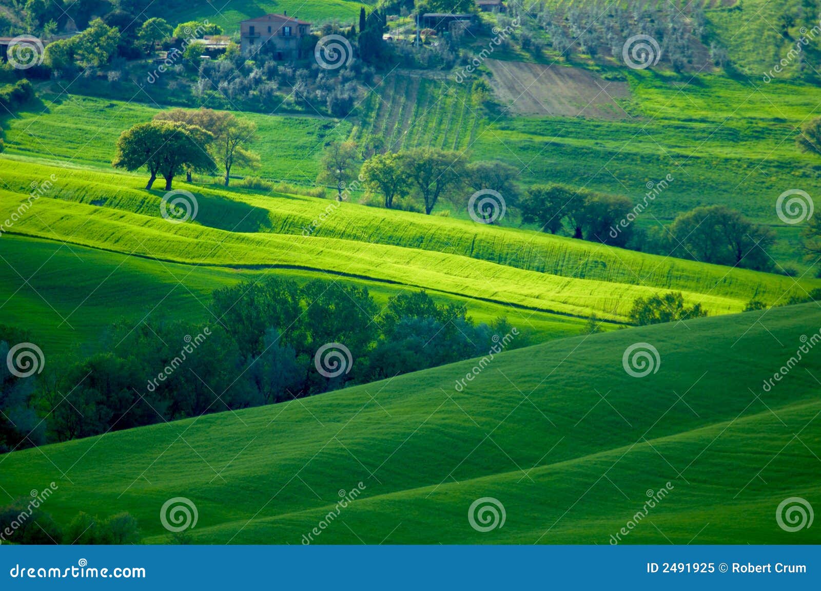 Italian fields stock image. Image of country, peace, italia - 2491925