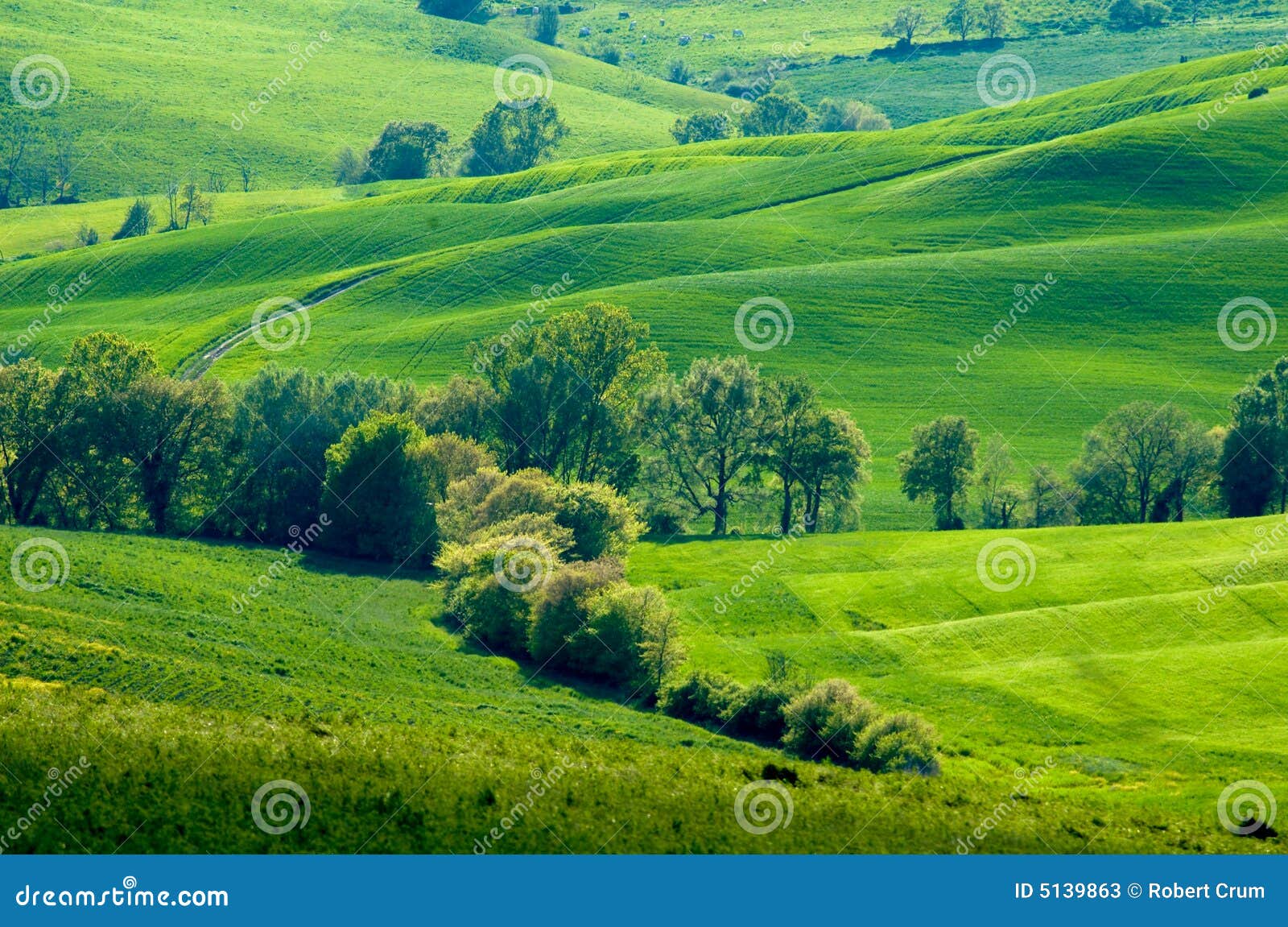 Italian fields stock image. Image of italy, grassland - 5139863