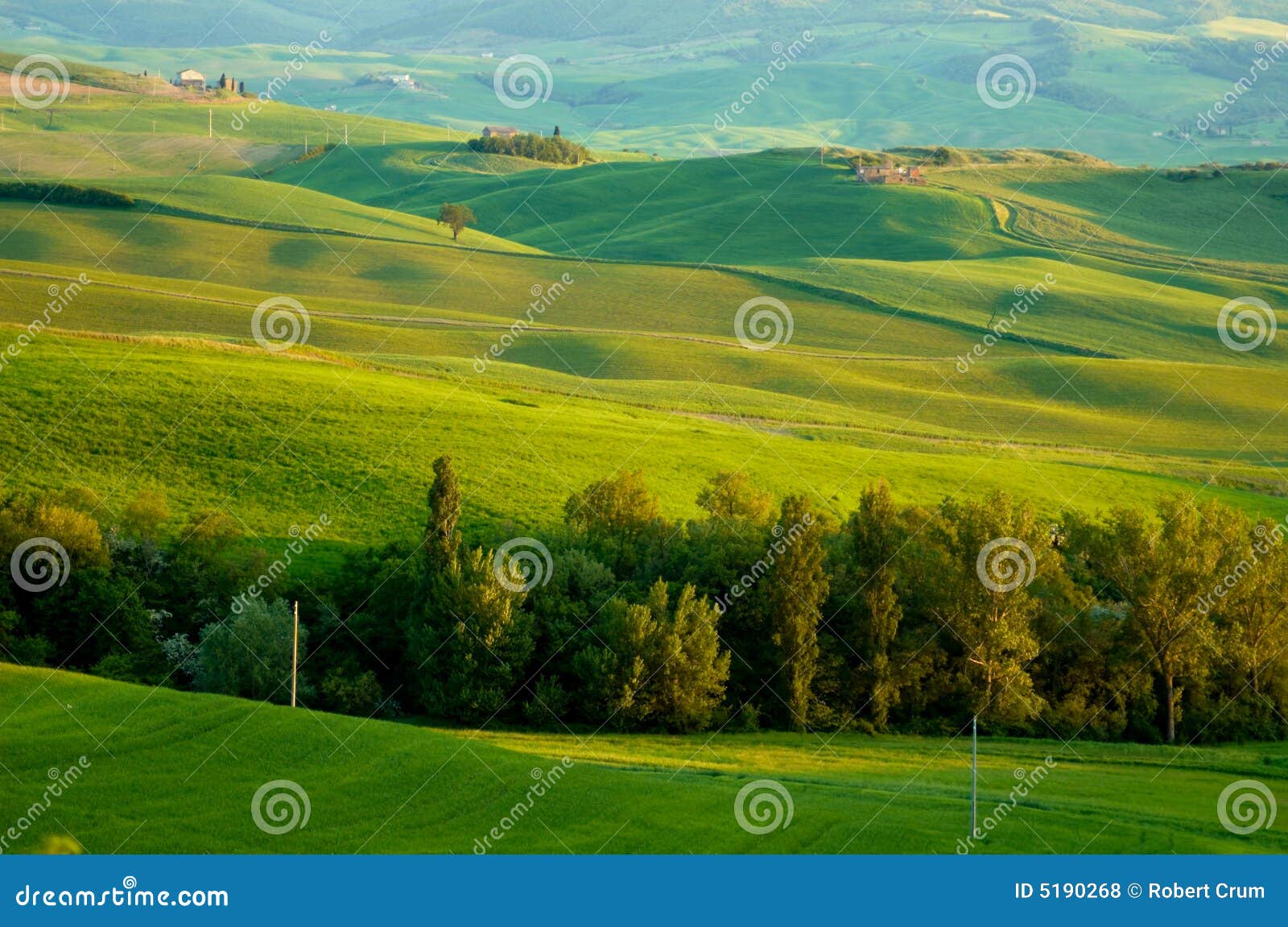 Italian fields stock photo. Image of field, hill, pastoral - 5190268