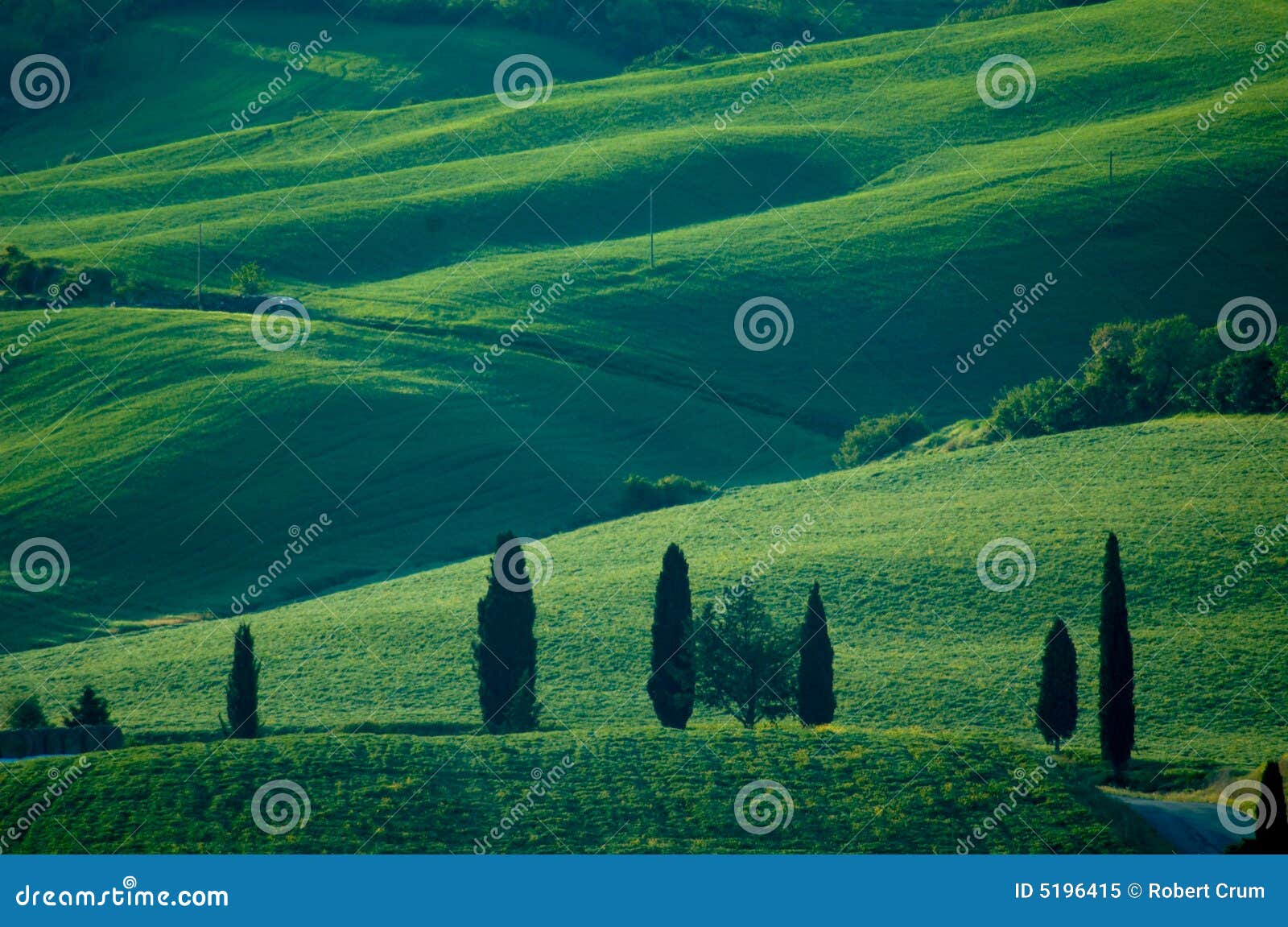 Italian fields stock image. Image of countryside, quiet - 5196415