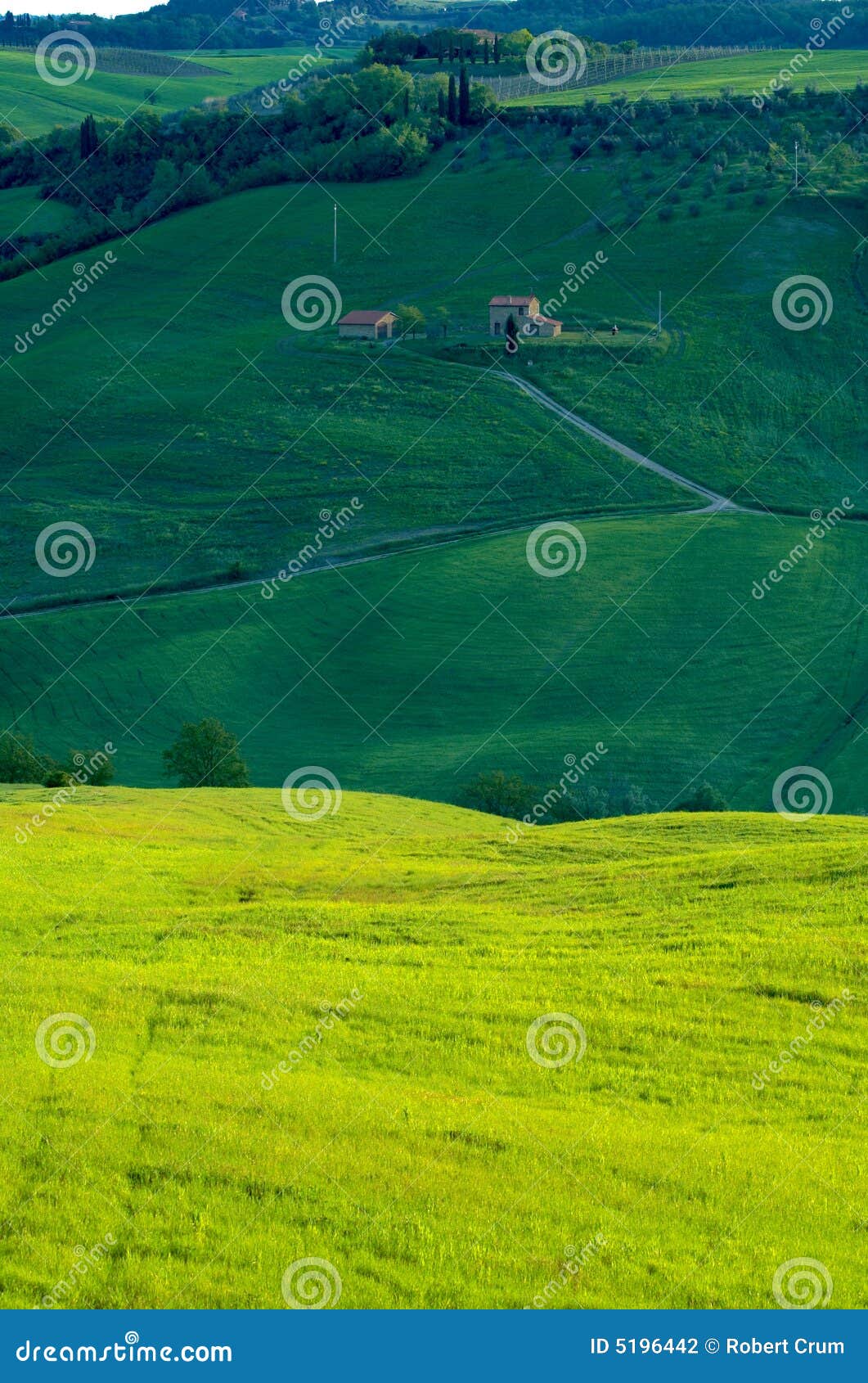 Italian fields stock photo. Image of italia, hill, rural - 5196442