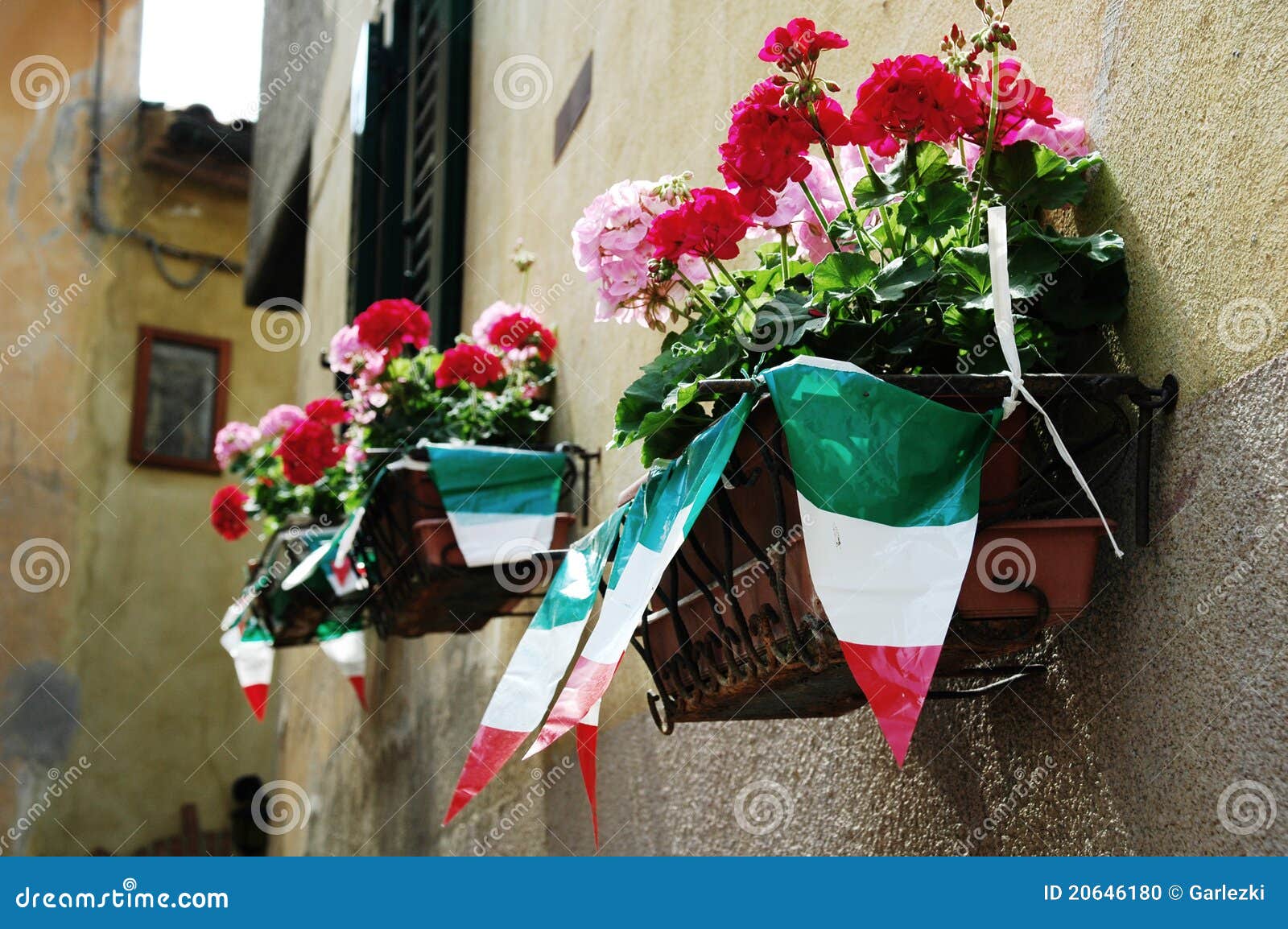 Native Italian Flowers
