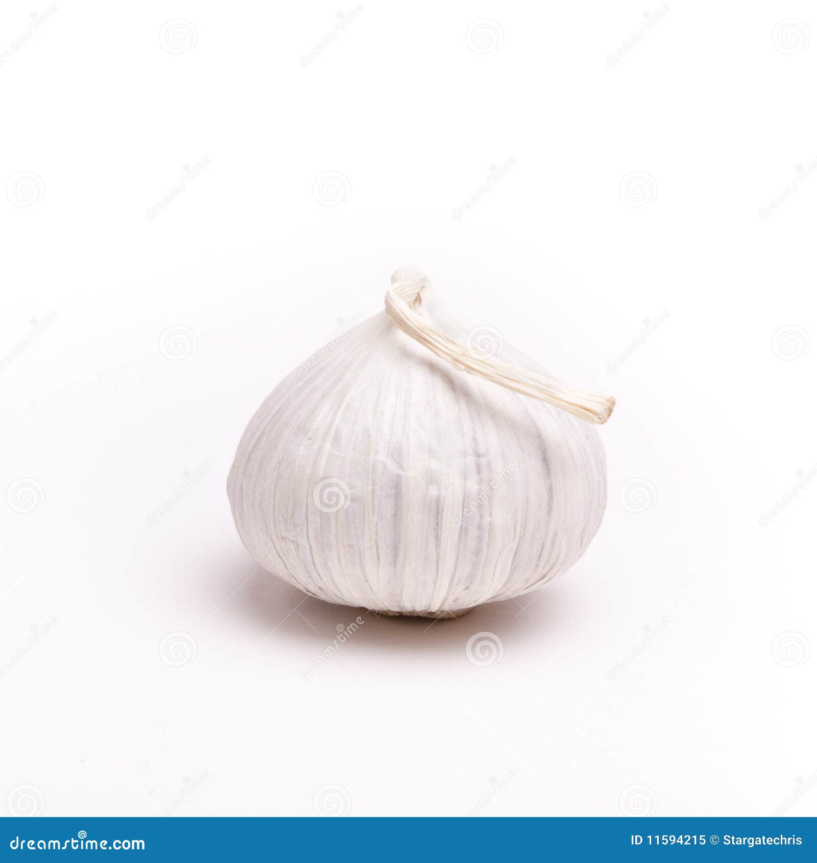 Italian Garlic stock image. Image of bulb, fresh, gourmet - 11594215