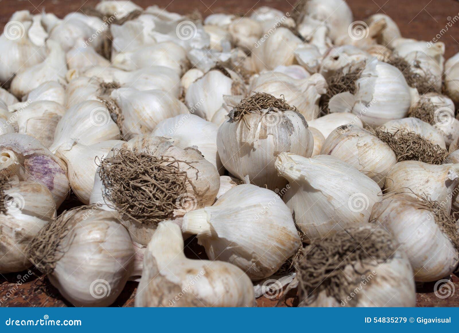 Italian garlic stock image. Image of nutrition, food - 54835279