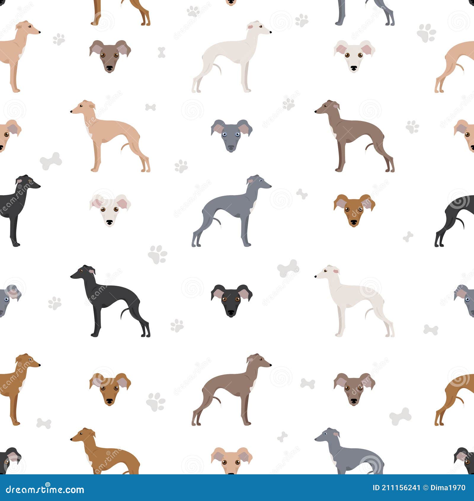 Italian Greyhound Seamless Pattern. Different Poses, Coat Colors Set ...