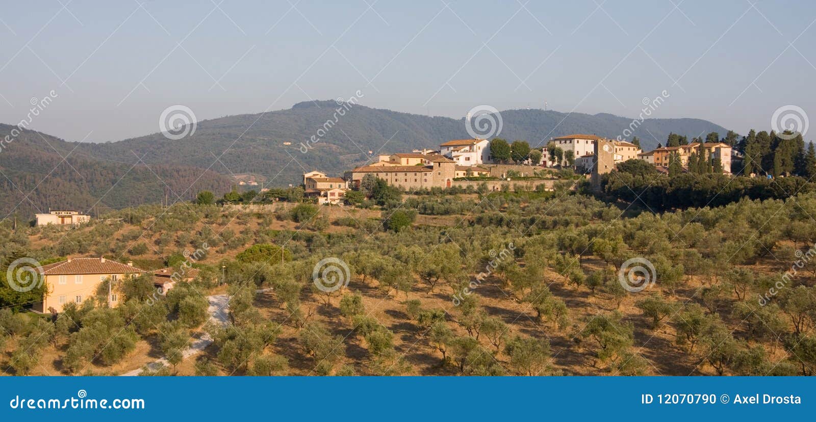 Italian hillside village stock photo. Image of town, trees - 12070790