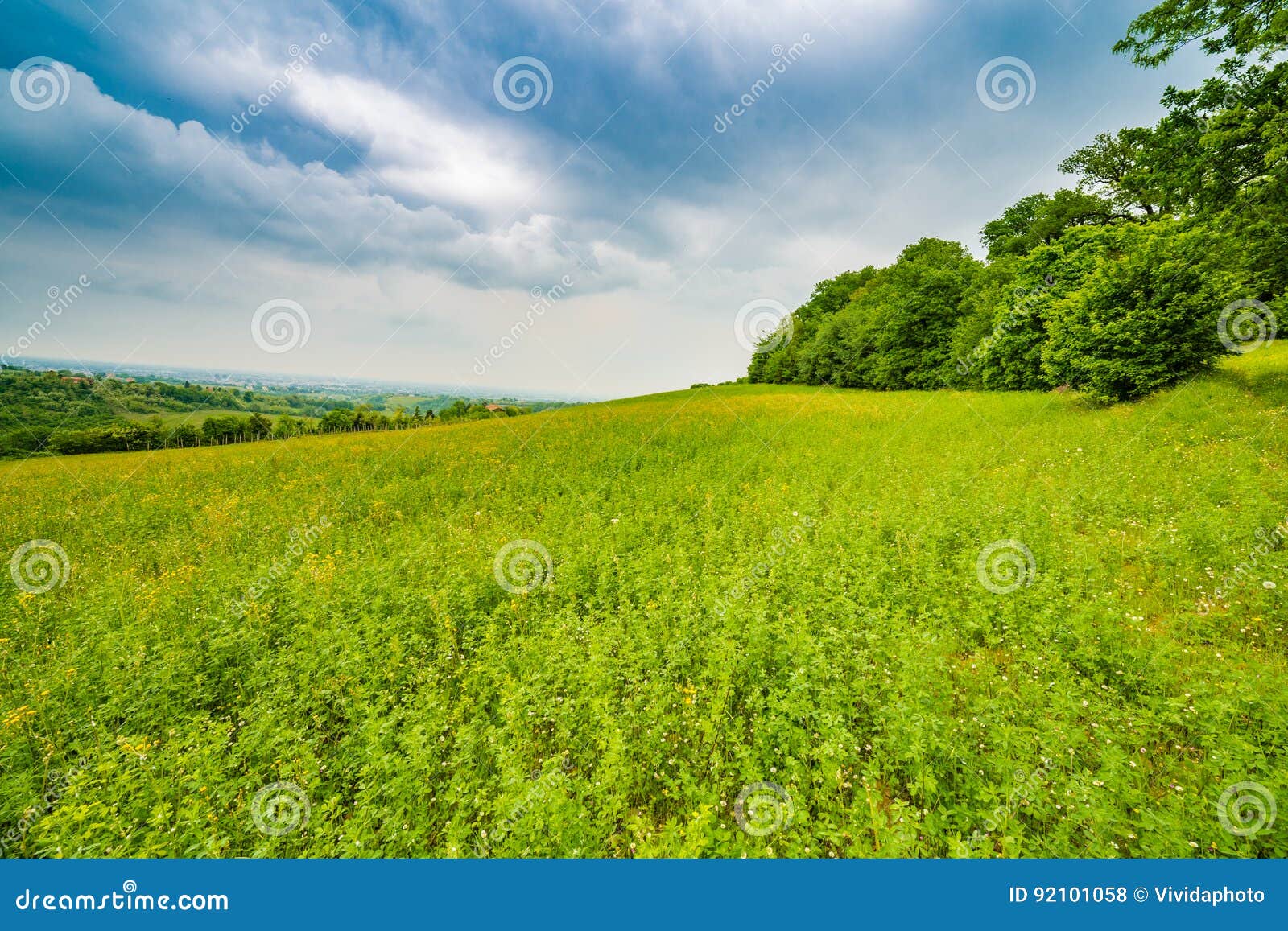 Italian hilly countryside stock photo. Image of background - 92101058