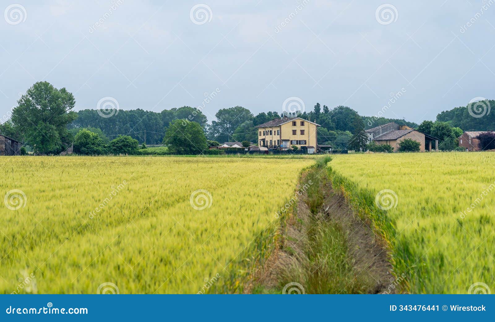 Scenic View of the Italian Landscape Green Fields in Emilia Romagna ...