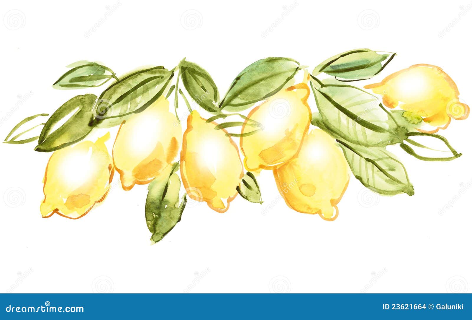 Italian lemon stock illustration. Illustration of painted - 23621664