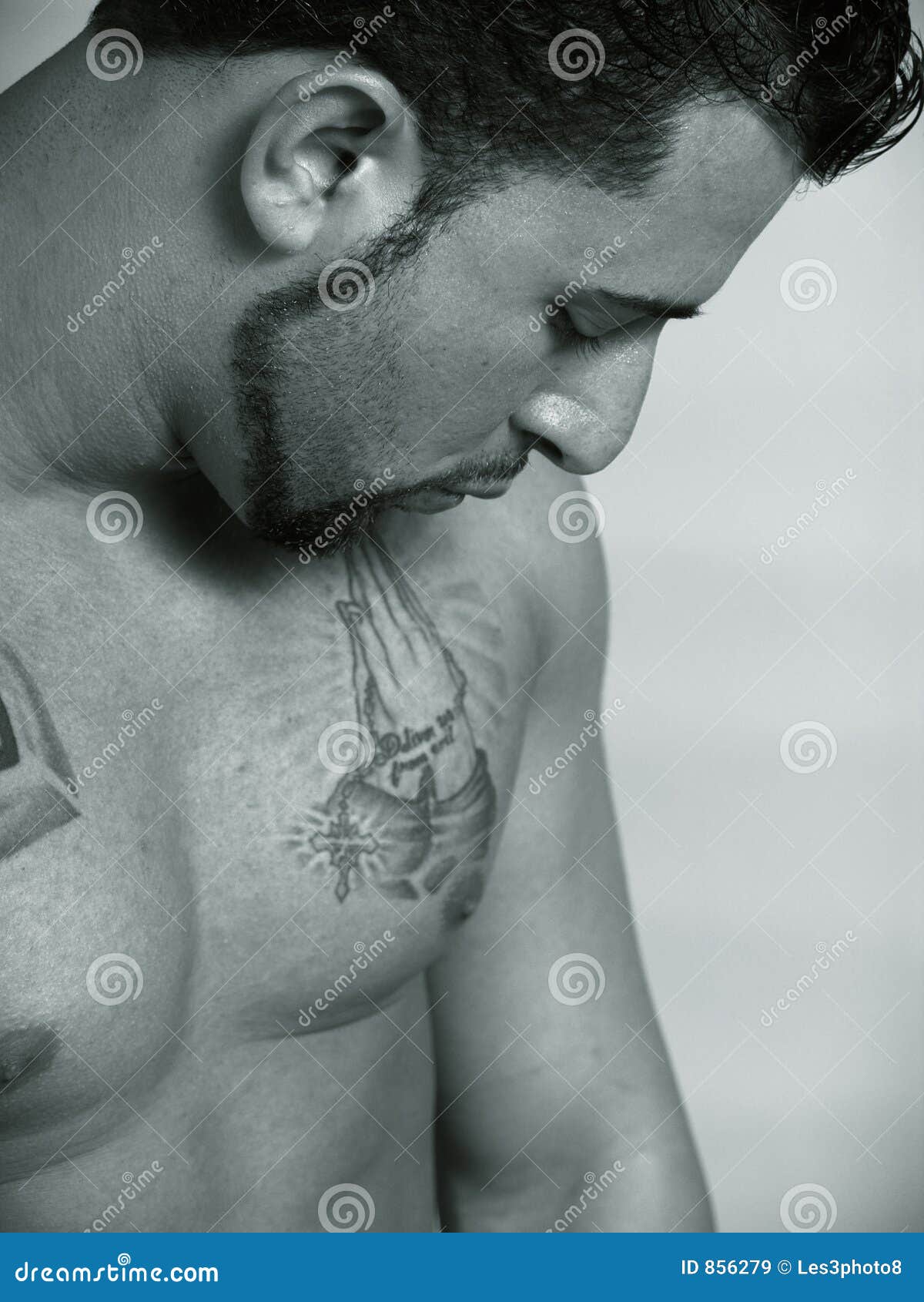 Italian man s profile stock image. Image of pecs, face - 856279