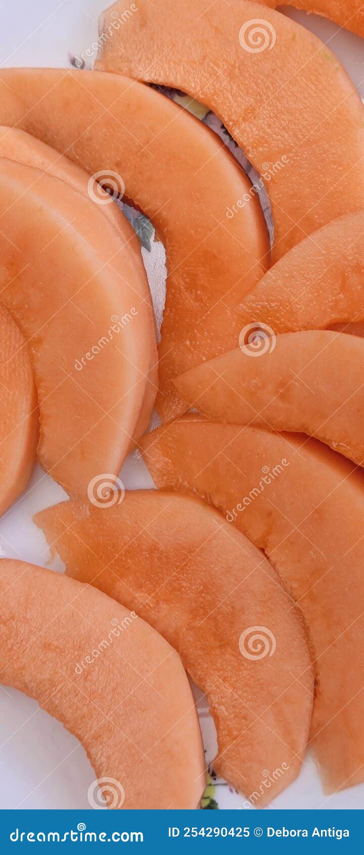 Italian melon in Tuscany stock image. Image of summer - 254290425