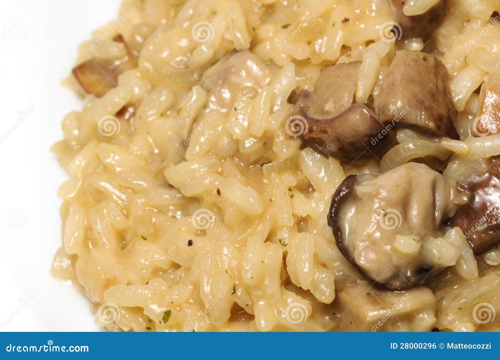 Italian Mushroom Risotto stock photo. Image of common - 28000296