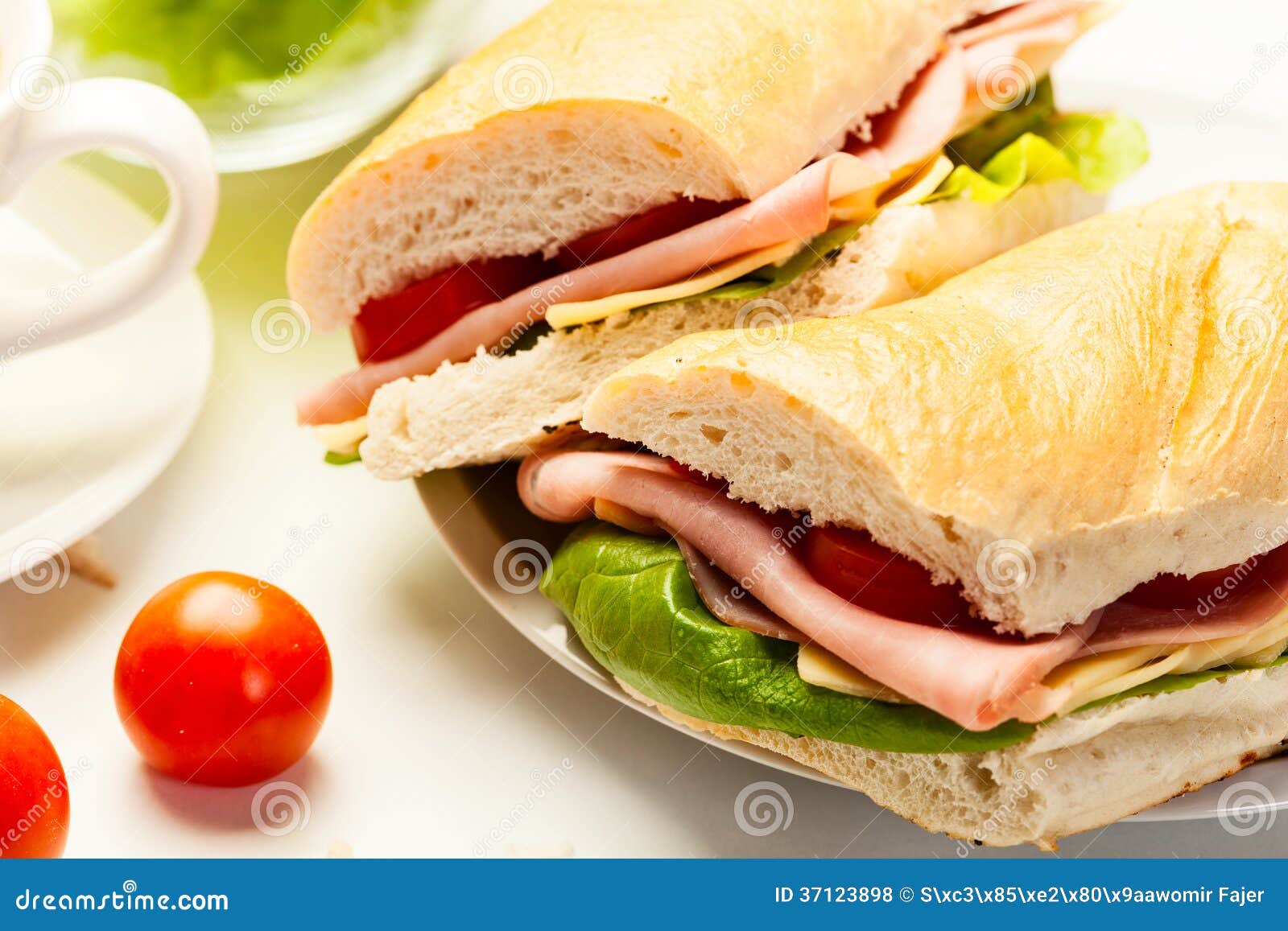 Italian panini sandwich stock photo. Image of snack, sliced - 37123898