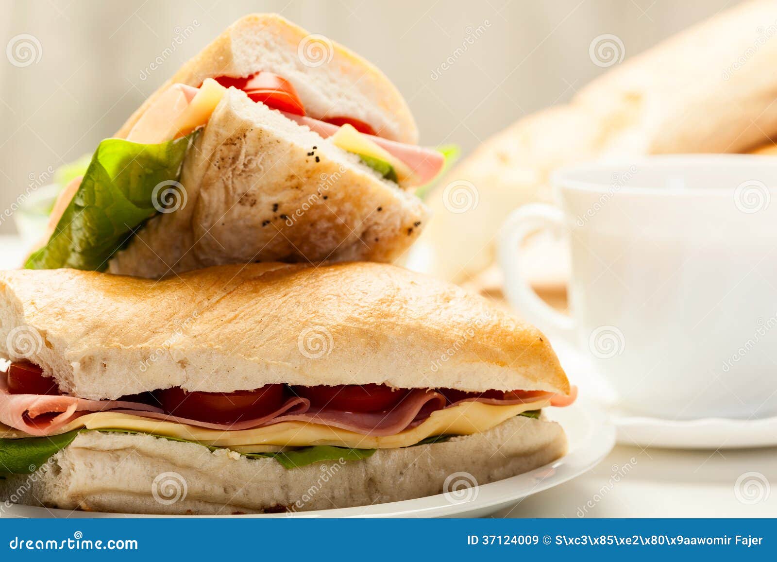 Italian panini sandwich stock image. Image of prepared - 37124009