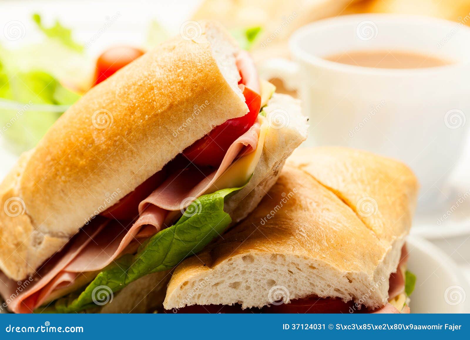 Italian panini sandwich stock image. Image of sliced - 37124031