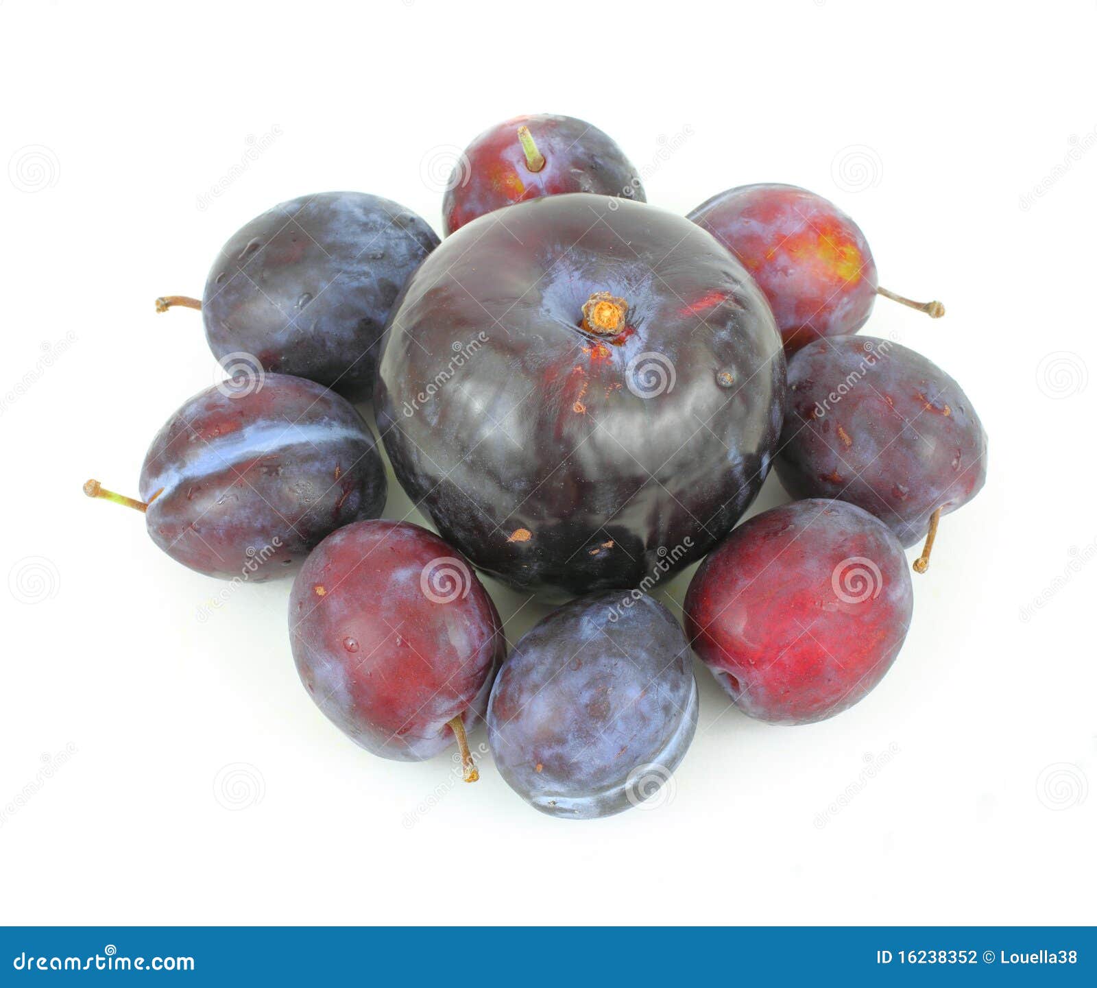 Italian Prunes and Large Black Plum Stock Photo - Image of stems, eight ...