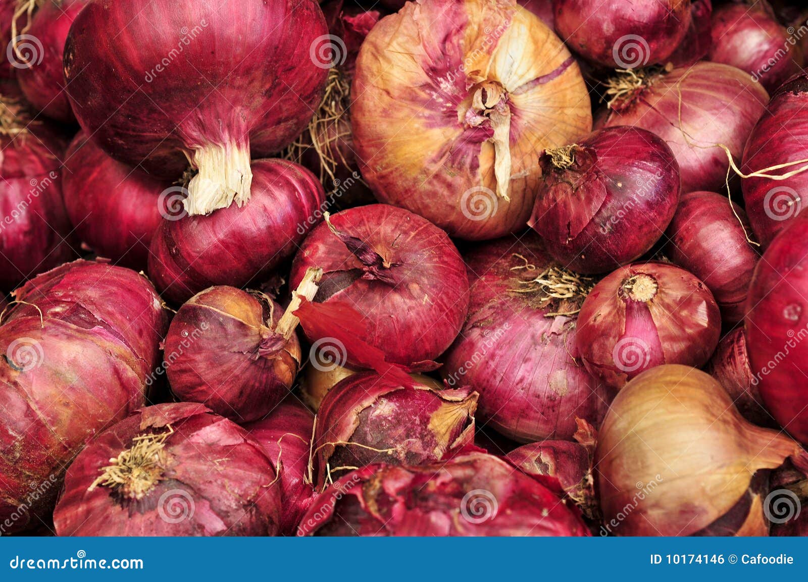 Italian Red Onions stock photo. Image of purple, recipe - 10174146