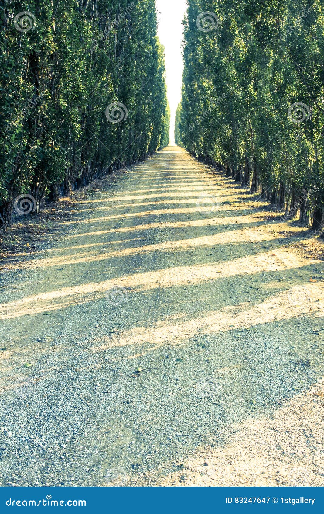 Italian Road Signs Motorway With Directions To Reach The Cities Royalty ...