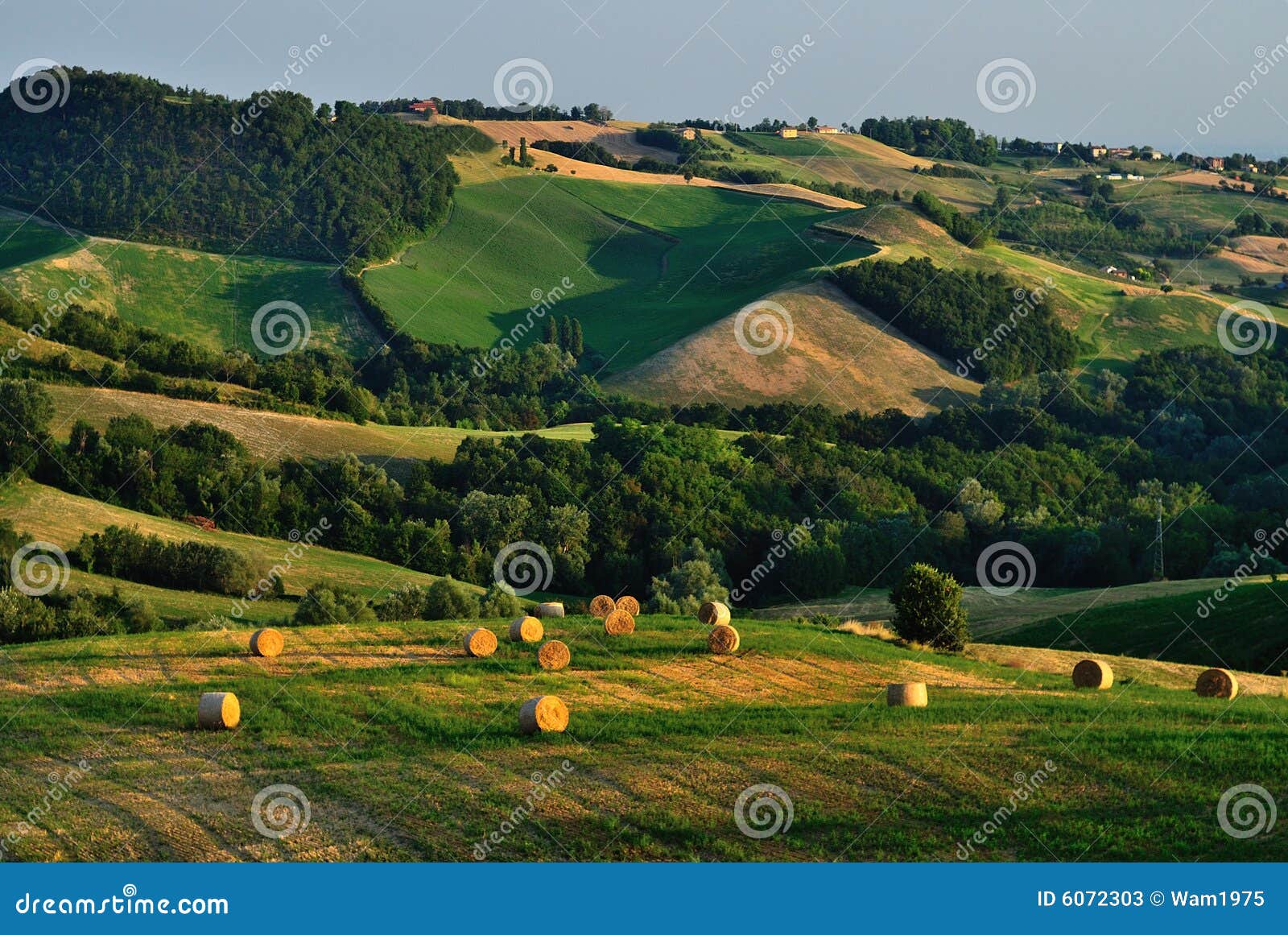 Italian rural countryside stock image. Image of region - 6072303