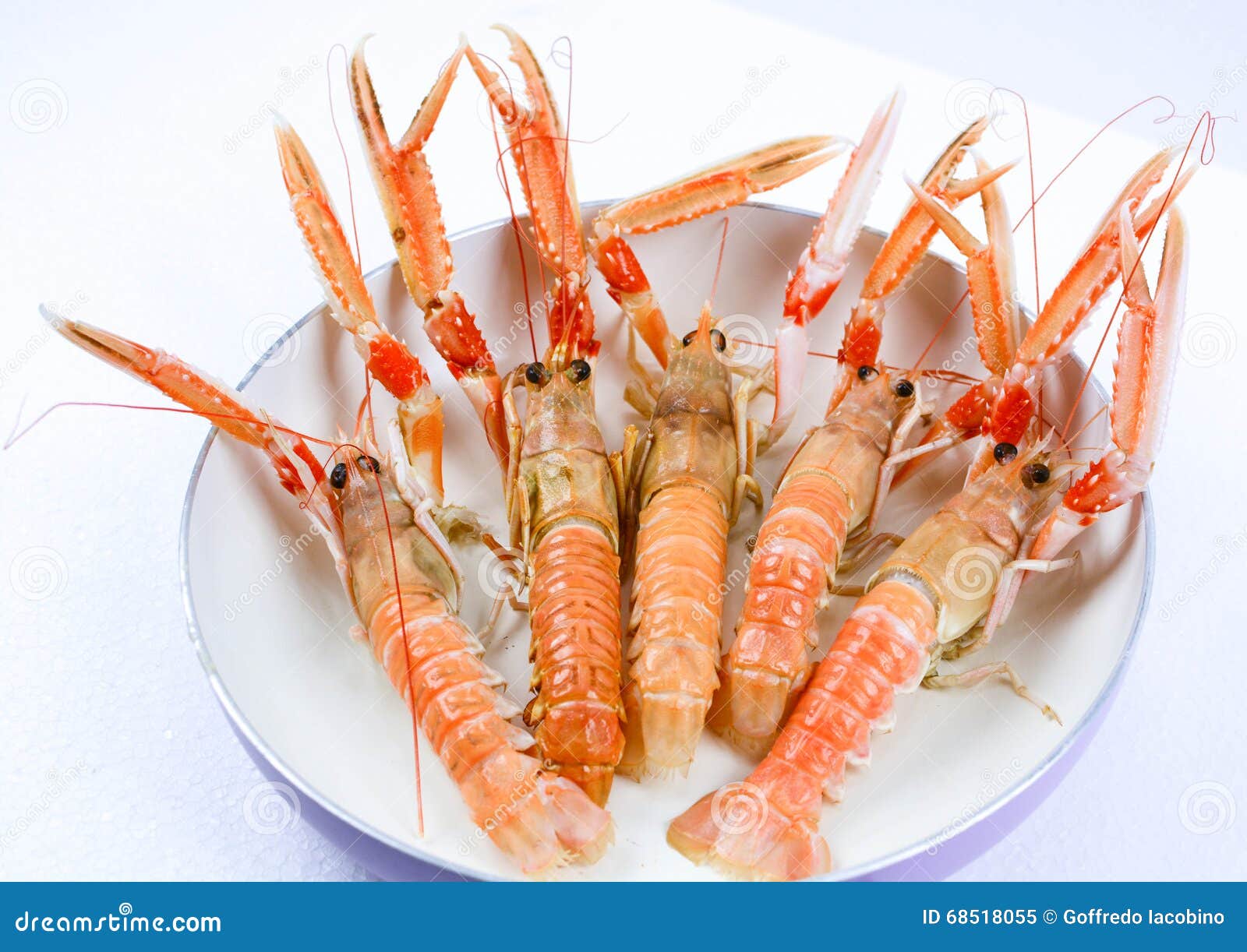 Italian scampi stock image. Image of seafood, dishes - 68518055