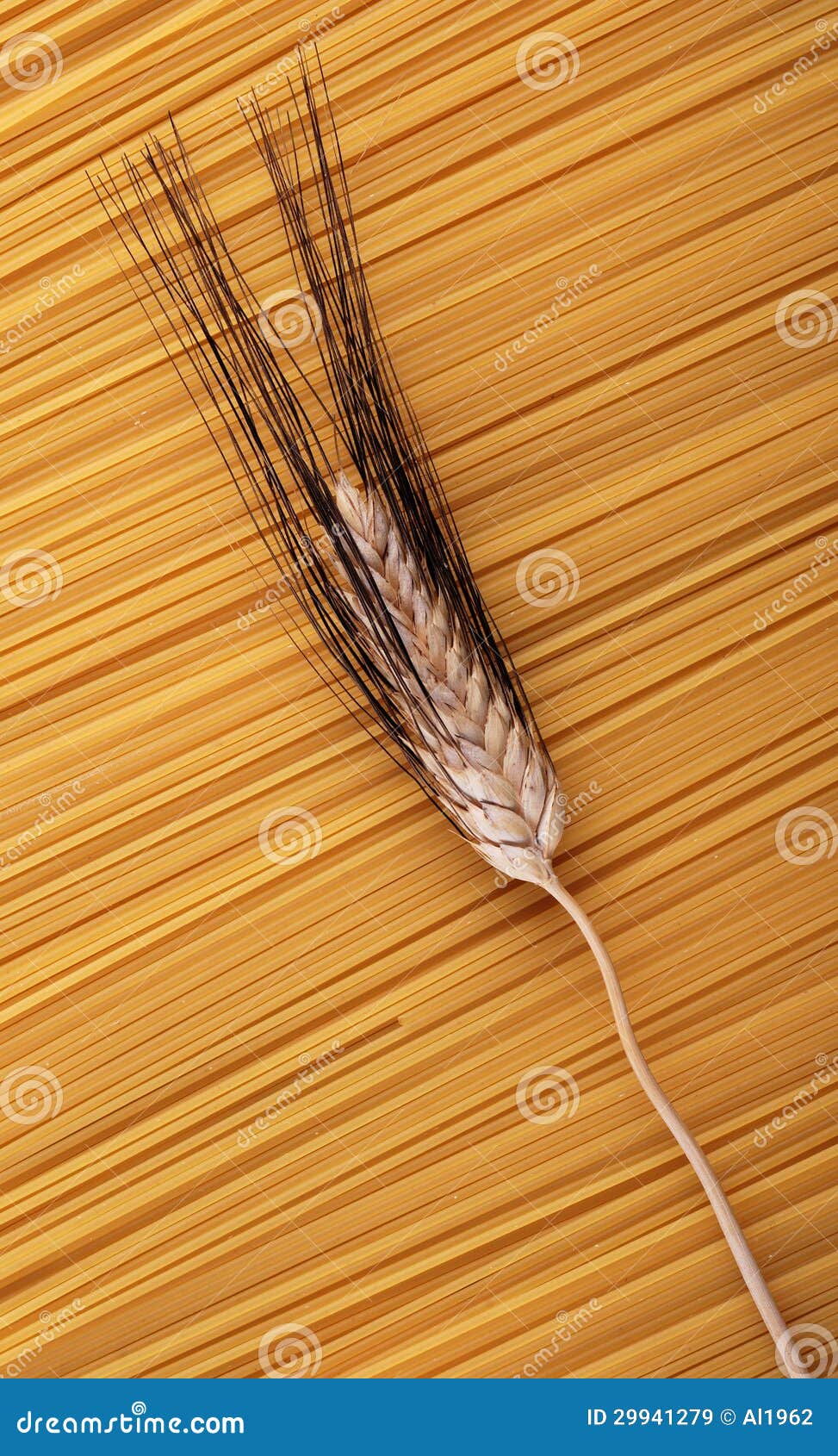 Italian pasta stock image. Image of italy, cooking, dinner - 29941279