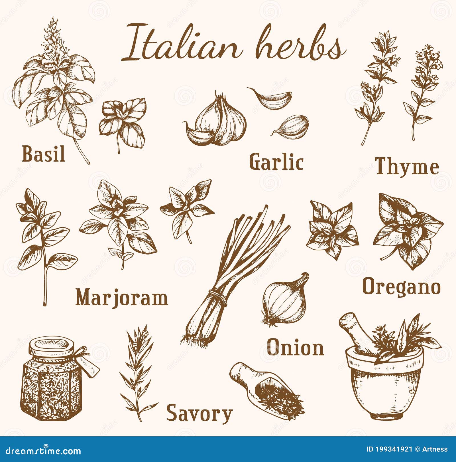 Vintage Hand Drawn Italian Spices and Herbs Stock Vector - Illustration ... Vintage Hand Drawn Italian Spices and Herbs Stock Vector - Illustration ...