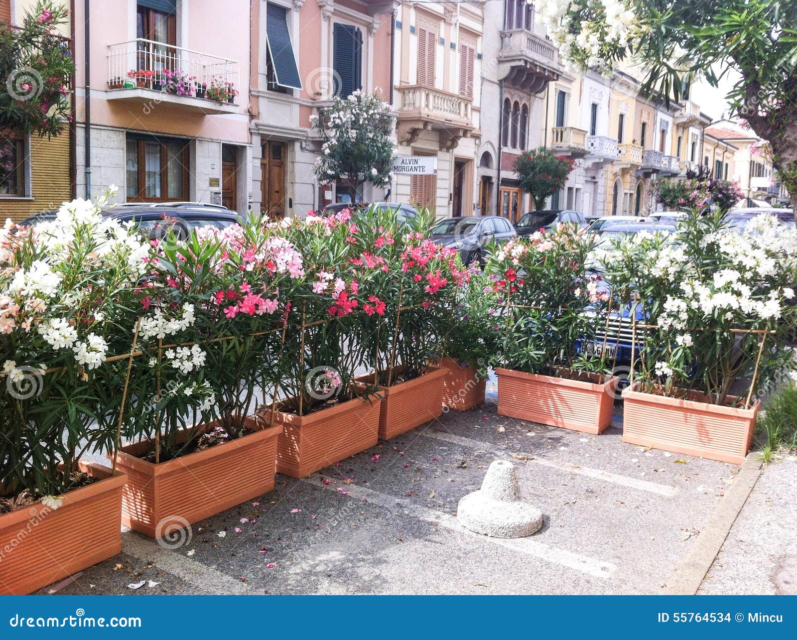 Italian street flowers editorial stock image. Image of houses - 55764534