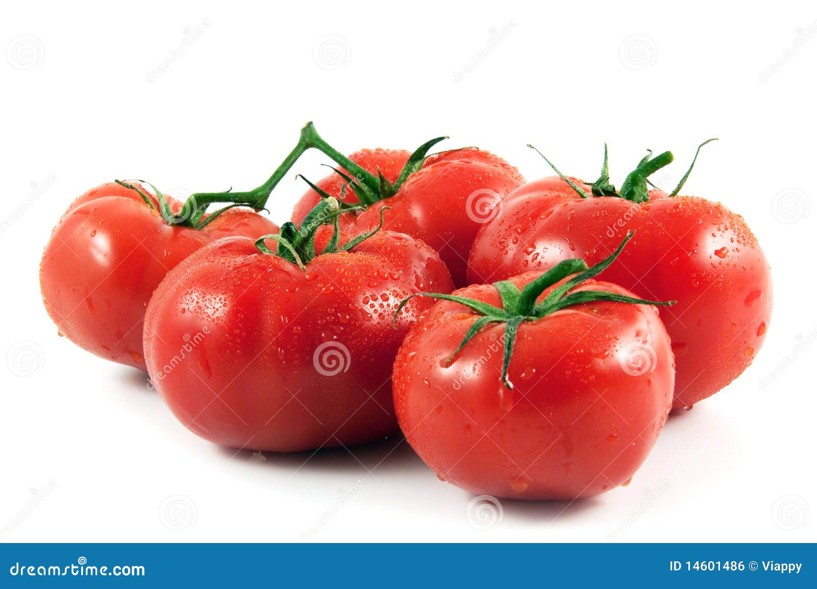 Italian tomatoes stock photo. Image of closeup, tomato - 14601486
