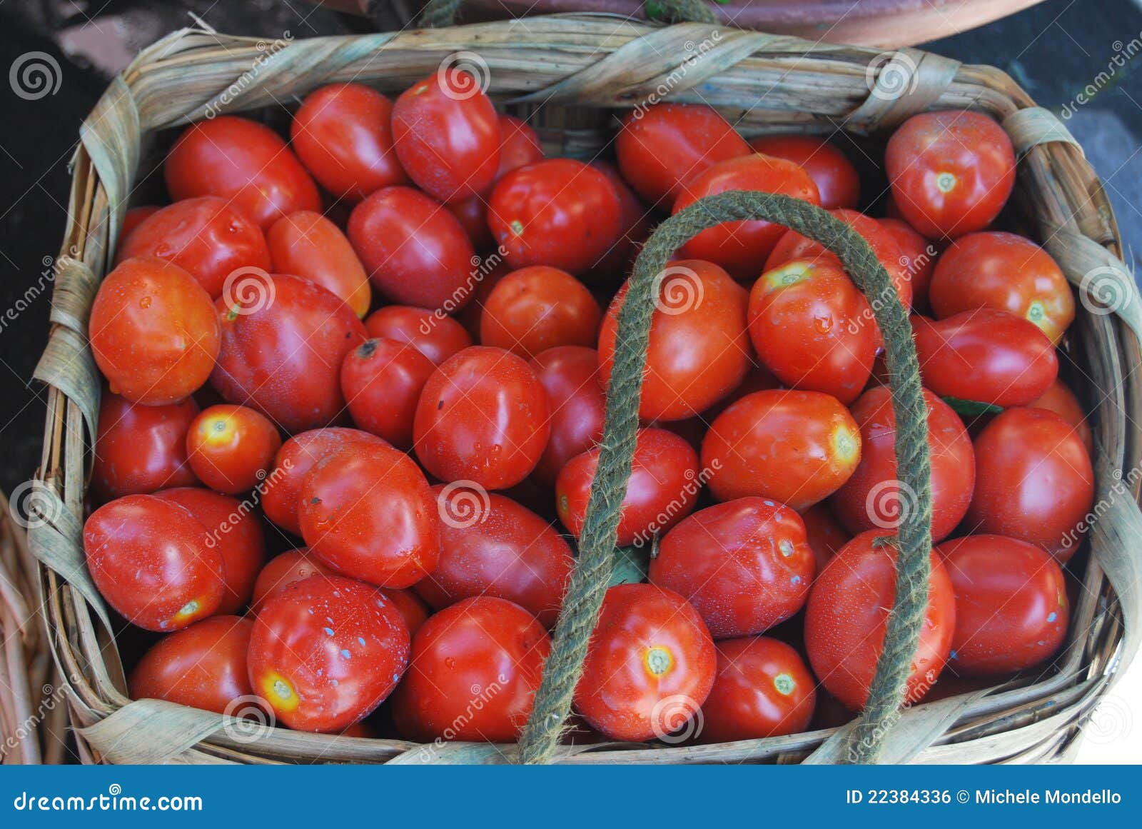Italian tomatoes stock photo. Image of food, italy, italian - 22384336