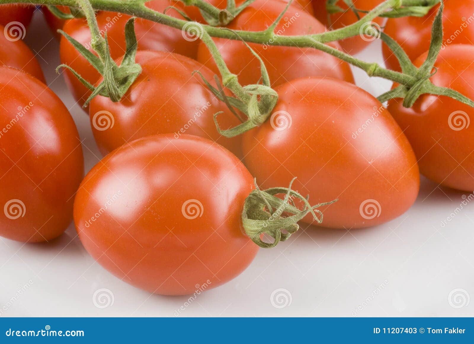 Italian Tomatoes on the Vine Stock Image - Image of freshness, organic ...