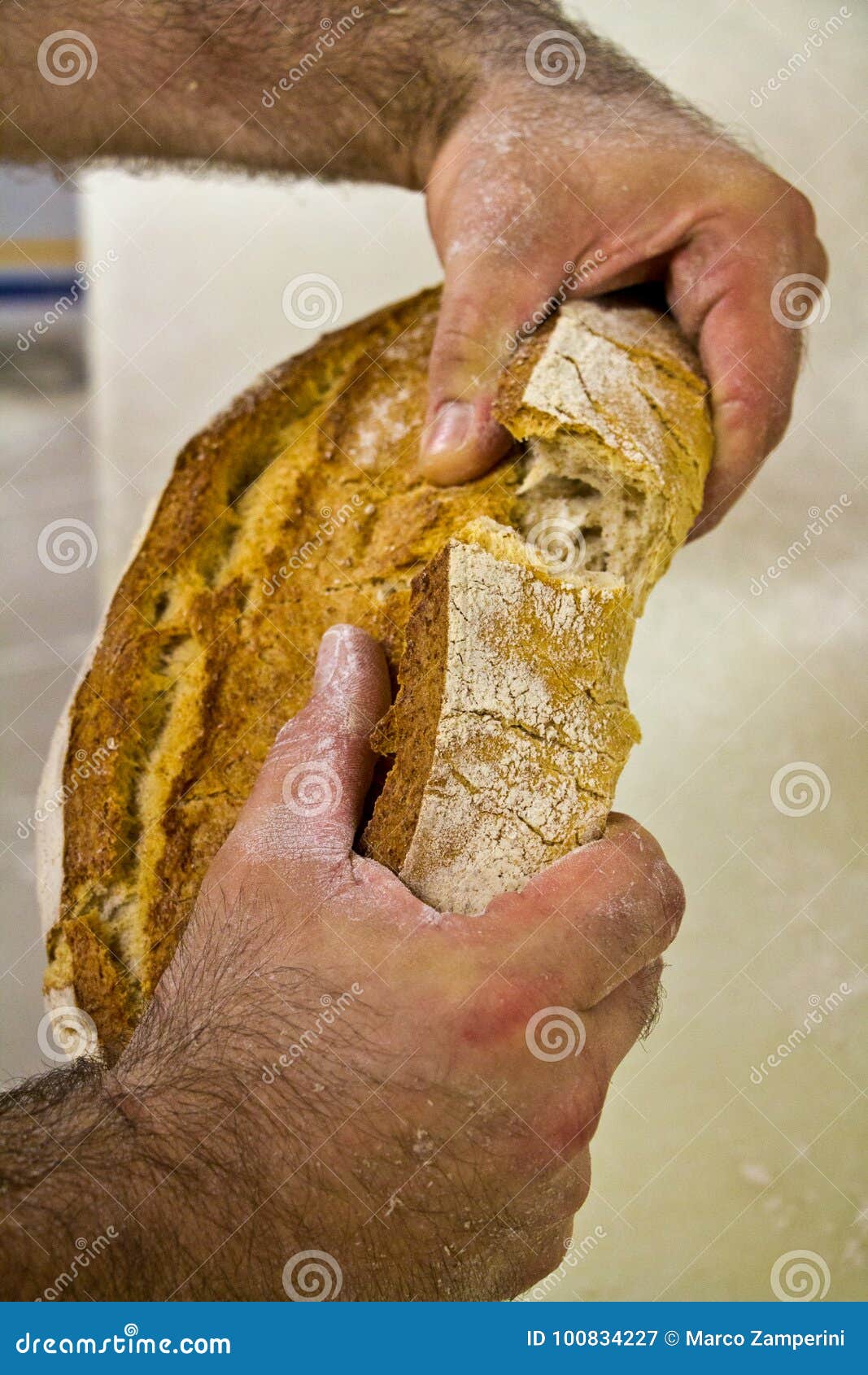 Italian typical bread stock image. Image of baker, mediterranean ...