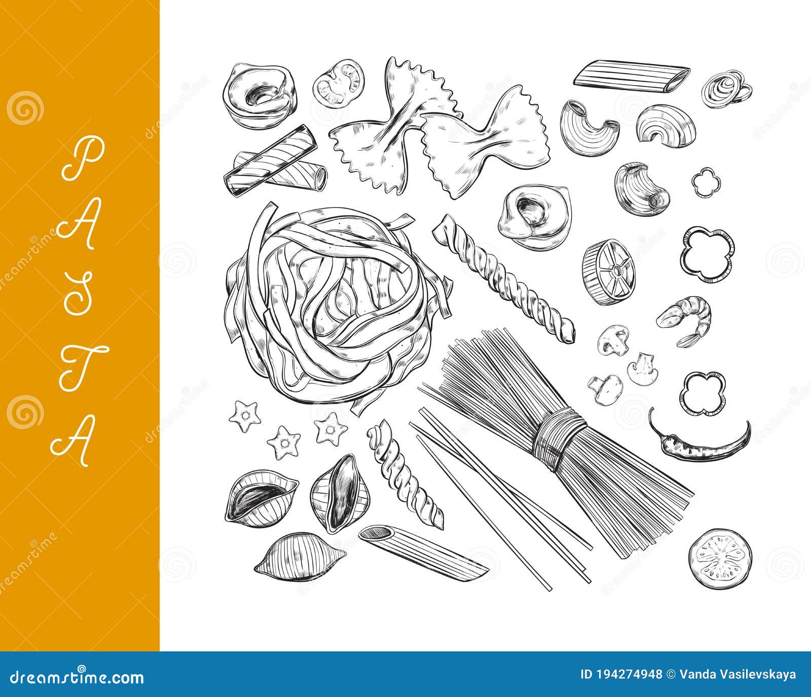 Italian Vector Pasta Set. Different Types of Pasta. Hand Drawn ...