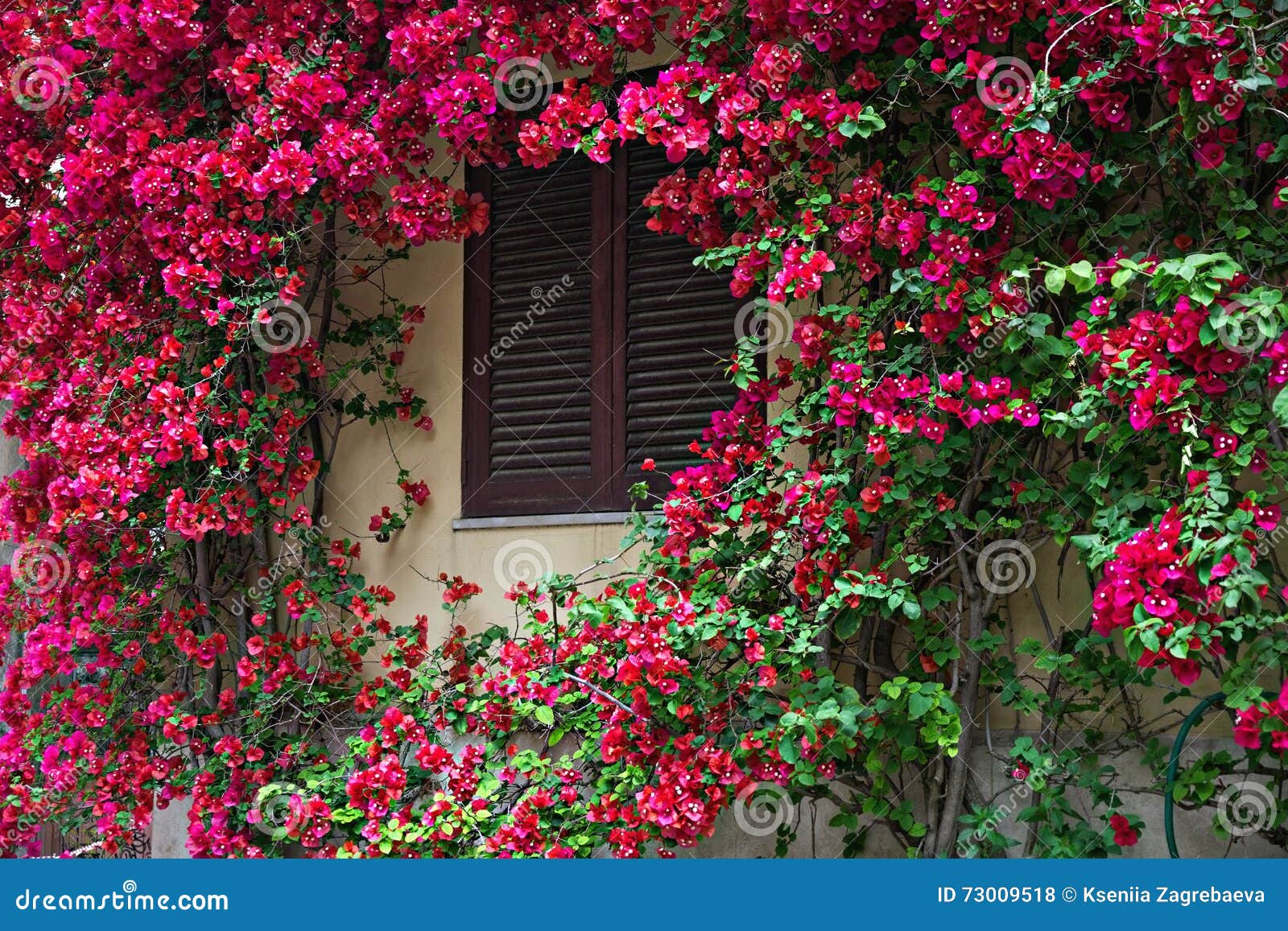 Italian Windows with Shutters Stock Photo - Image of decorate, region ...