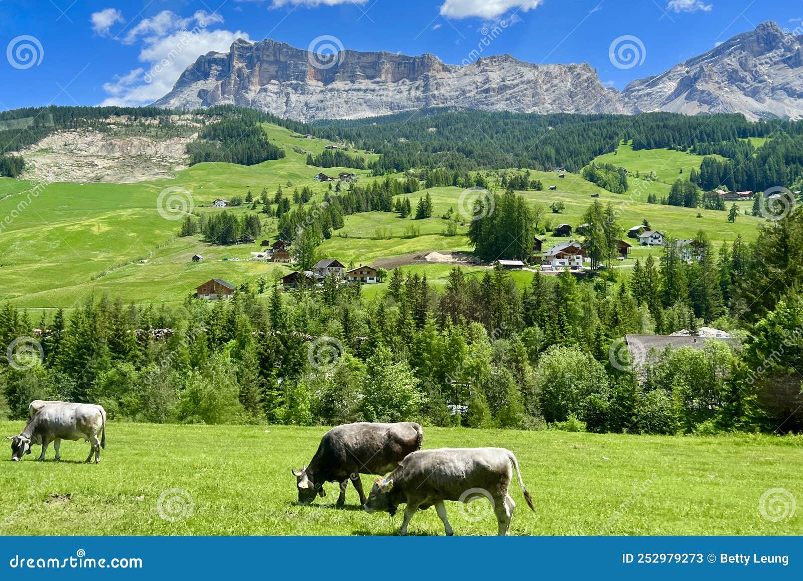 Beautiful Scenery Around the Dolomites in Italy Stock Image - Image of ...