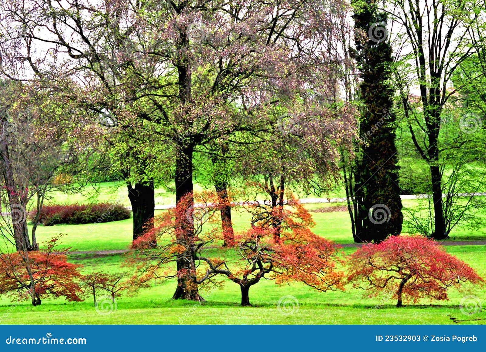 Italy in the Early Spring, the Park in Tuscany Stock Image - Image of ...