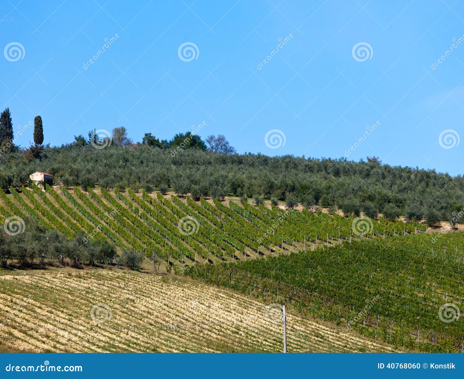Italy. Green fields stock photo. Image of hills, summer - 40768060