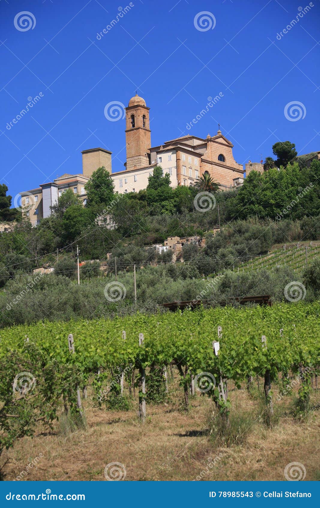 Italy,Marche, Campofilone Village Editorial Stock Photo - Image of ...