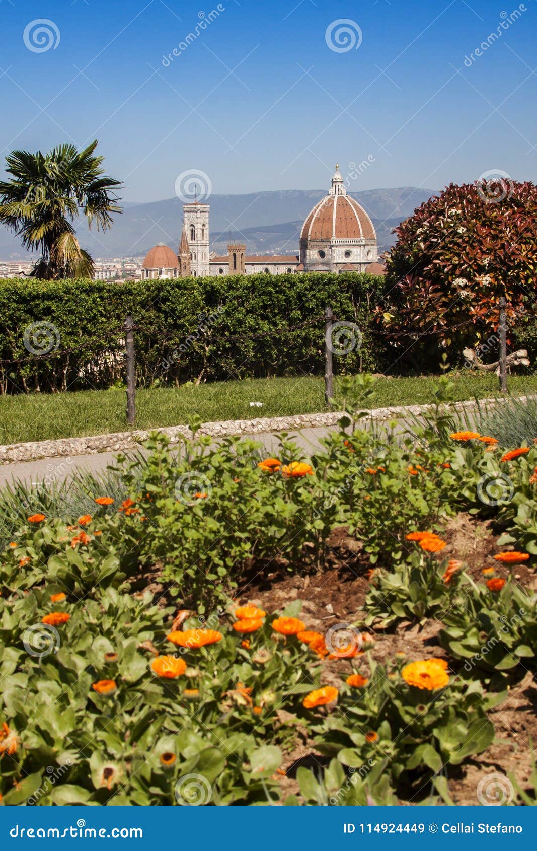 Italy, Tuscany, Florence in Spring Time. Editorial Stock Image - Image ...