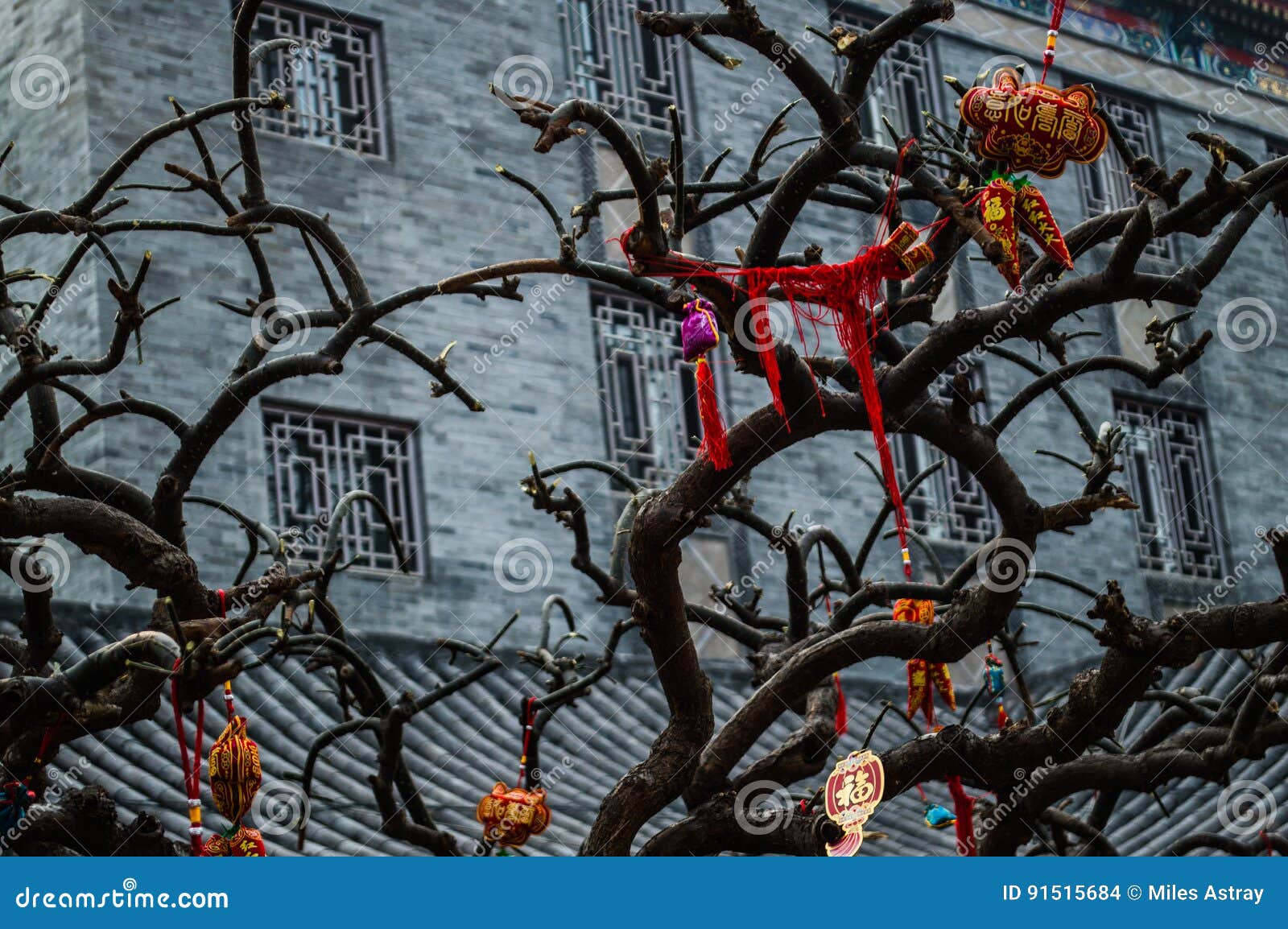 Items Dangling from a Decorated Tree at a Temple in Beijing, China ...