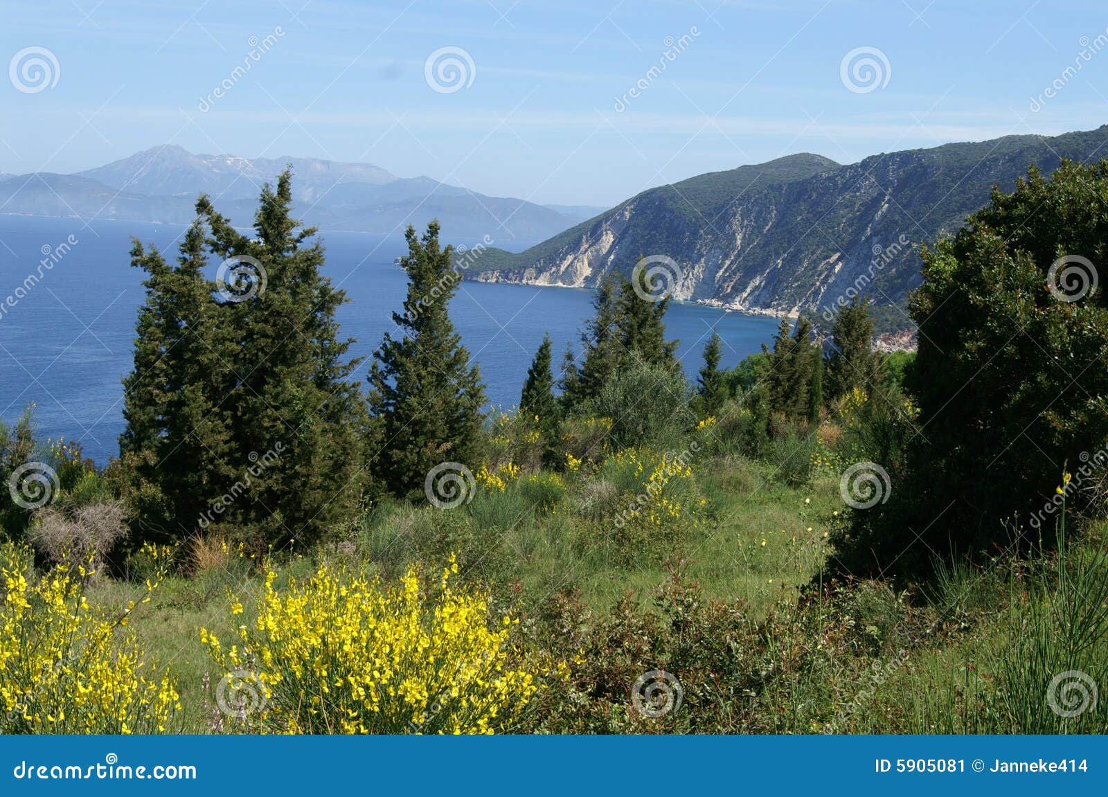 Ithaca - Greece stock image. Image of nature, grassland - 5905081