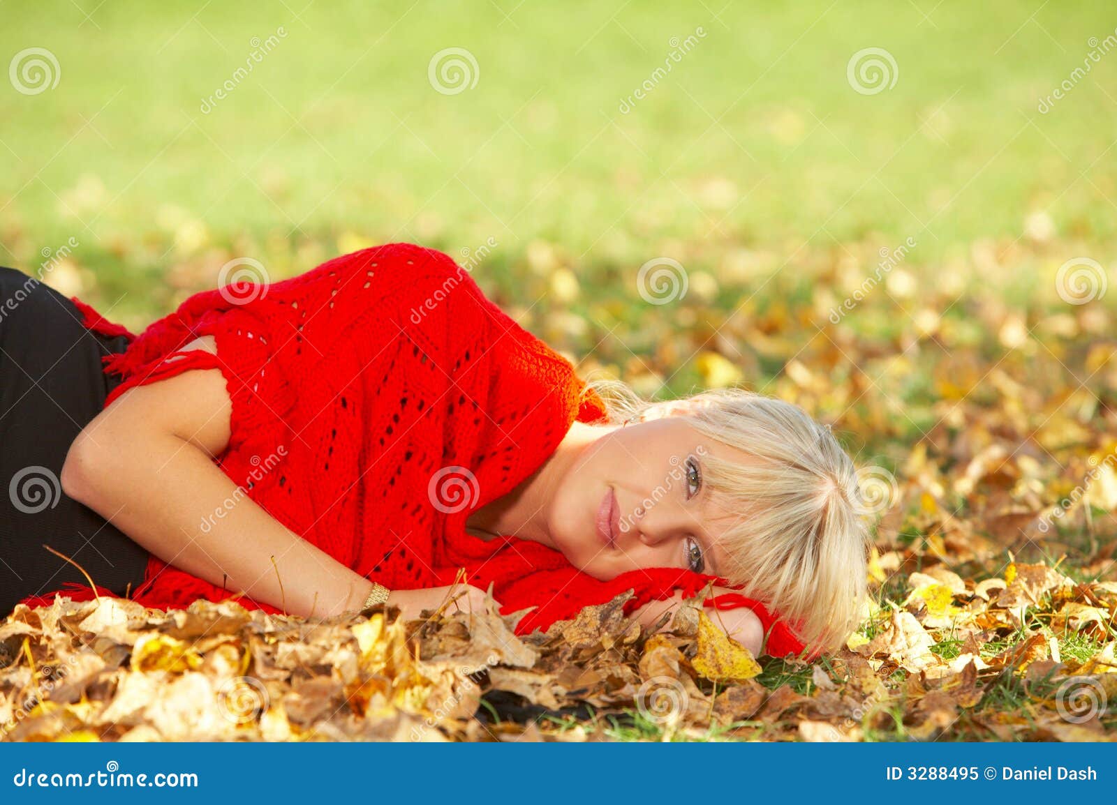 Its Autumn! stock image. Image of business, leaf, colorful - 3288495
